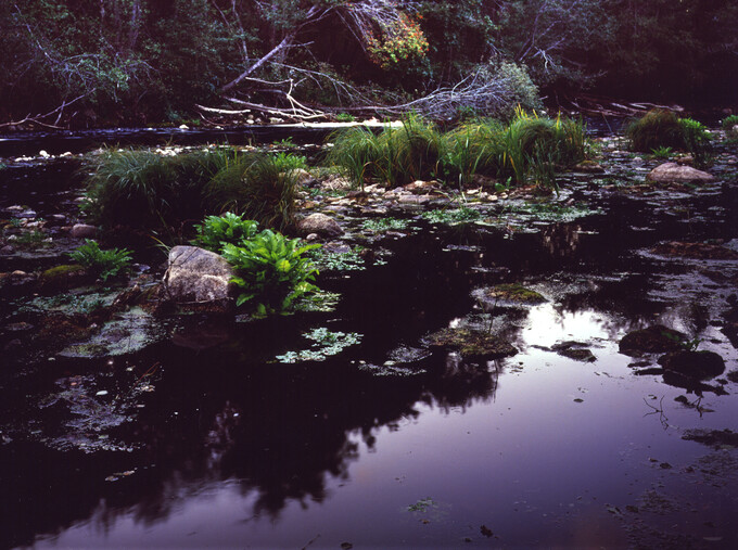 GALERIE DES GALERIES